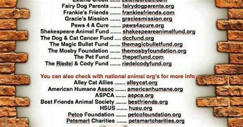 If You Need Help Paying Your Pets Vet Bill Theres Help Theres Tons