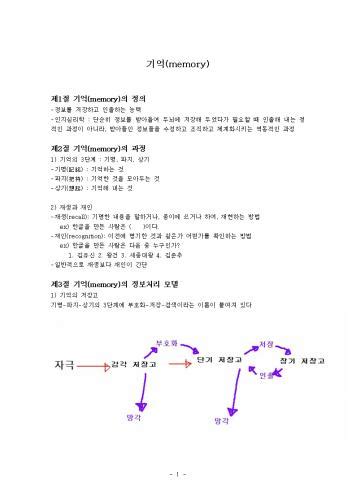 기억memory 개론