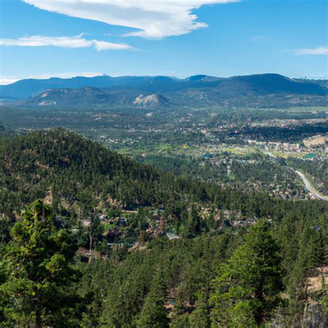 Evergreen Co News Crime Lost Pets Free Stuff