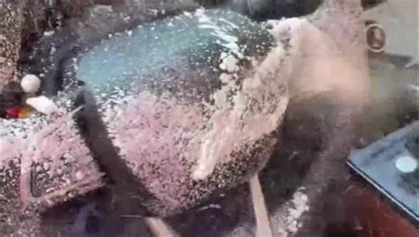 Engine Surface Cleaner Foamy Degreaser