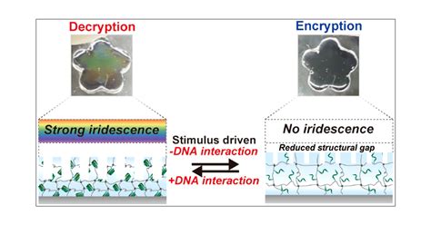 Regional Control Of Multistimuli Responsive Structural Color Switching