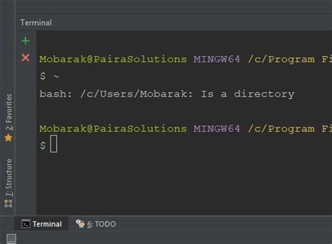 Using Git Bash As Terminal In PhpStorm Mobarak Ali
