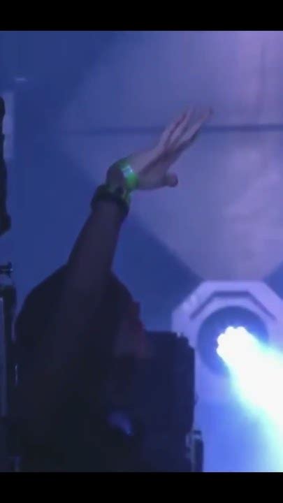 Avicii Ultra Music 2013 Shorts11 Youtube