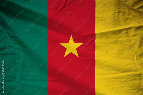 カメルーンの国旗 Stock Illustration Adobe Stock