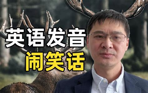 【罗翔】国家公园捡了鹿角，illegal！还回去！ 哔哩哔哩