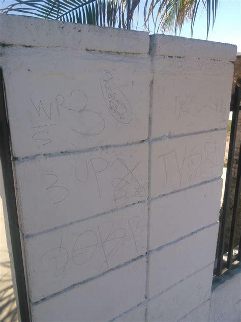Crip Gangs Graffiti Rollin 30 Original Harlem Crip