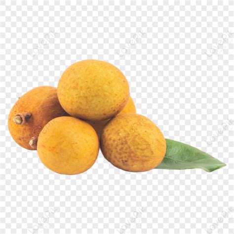 Longan 종자 비타민 유기농사진과일식물 Png 일러스트 무료 다운로드 Lovepik