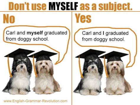 Reflexive Pronouns And Intensive Pronouns