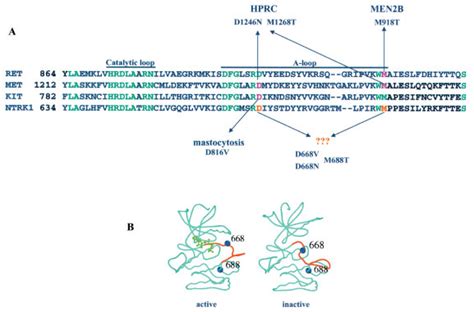 Sequence Alignment Of Subdomains Of Ret Met Kit And Ntrk1 Tyrosine