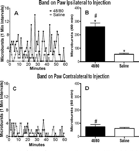 Figure 1 From Development And Validation Of An Automated System For Detection And Assessment Of