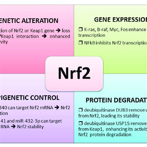 Mechanisms Of Control Of Nrf2 Activity Download Scientific Diagram