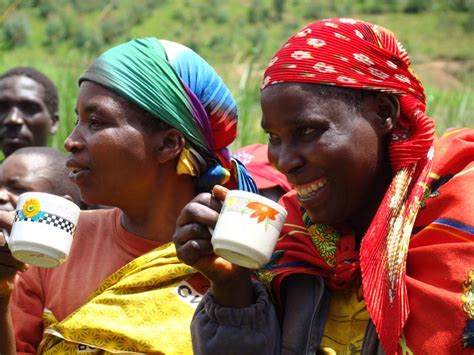 Burundian Coffee from Bukeye, - Driftaway Coffee