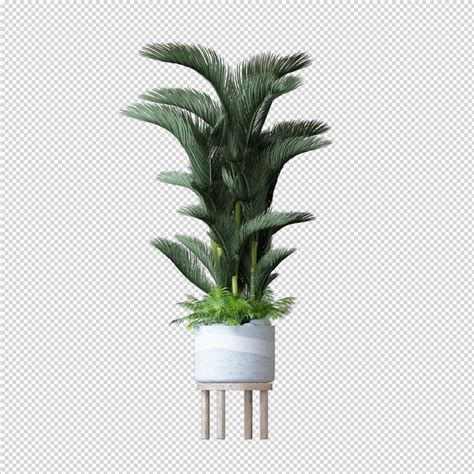 Premium Psd 3d Rendering Nature Object Tree Isolated