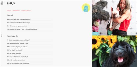 Examples Of FAQs Pages That You Can Learn From