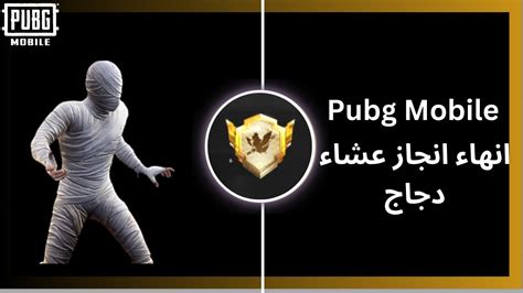 ببجي موبايل انجاز عشاء دجاج الحلقه الاخيره 5 Pubg Fury Youtube