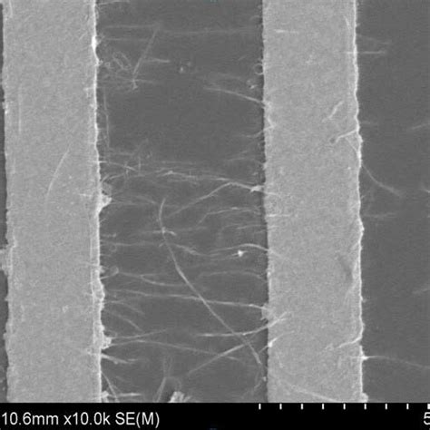 Schematic Illustration For Fabrication Of Cntfet Immune Biosensor Download Scientific Diagram
