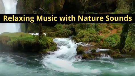 Relaxing Music To Calm The Mind One News Page VIDEO