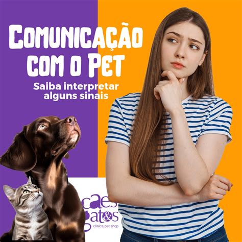 Comunicação o pet Saiba interpretar alguns sinais Cães e Gatos
