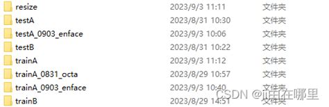 cyclegan 数据集配置 和训练以及测试记录 cyclegan数据集要求 csdn博客