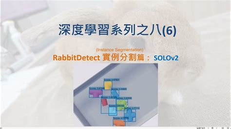 Matlab深度學習之八6rabbitdetect實例分割篇：solov2 Youtube