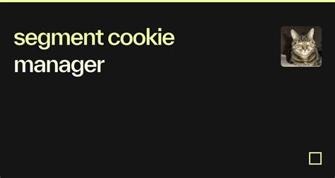 Segmentconsent Manager Examples Codesandbox