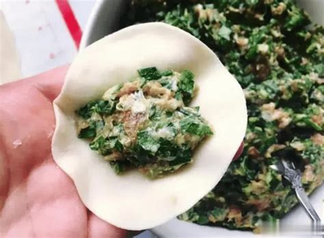 调制完美“韭菜猪肉”饺子馅：掌握这4个技巧，保证饺子鲜美无比，远离腥味与柴感