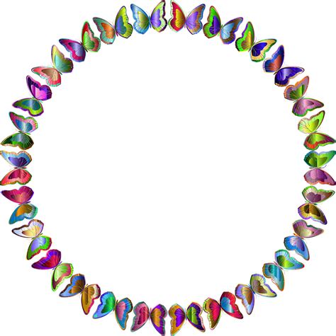Download Butterflies Butterfly Insect Royalty Free Vector Graphic