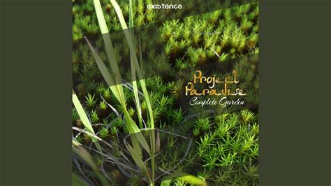 Dakhini Original Youtube