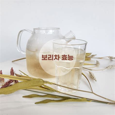 물대신 보리차 효능 부작용 칼로리 및 카페인 네이버 블로그