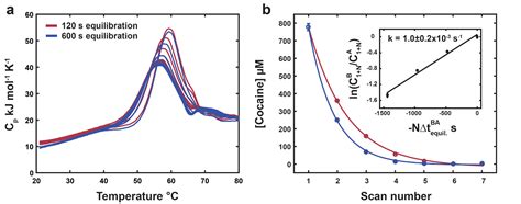 Measuring Biomolecular Dsc Profiles With Thermolabile Ligands To