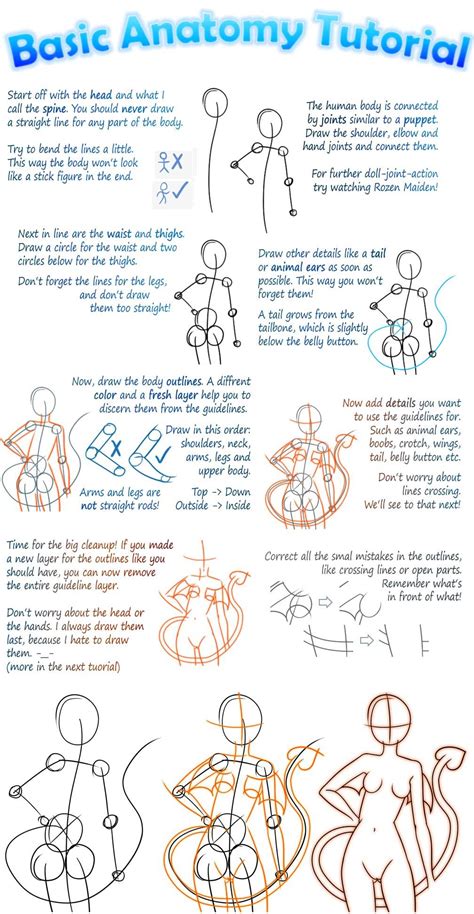 Cartoon Body Tutorial Fundamentals Practicarte Feedly Bodaswasuas