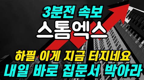 스톰엑스 ★단타 150 급등 코인 슈퍼빔 비상사태 당장 사라 뉴욕 거래소 승인 확정★스톰엑스스톰엑스코인전망스톰