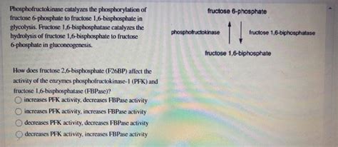 Solved Fructose 2 6 Bisphosphate Is A Regulator Of Both