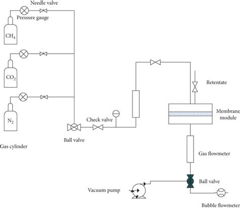 Schematic Diagram Of Gas Permeation Rig Download Scientific Diagram