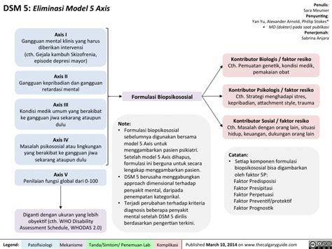 dsm axis to formulation translated calgary guide