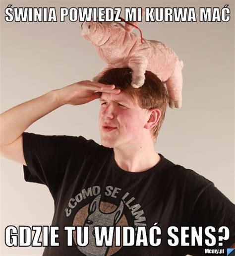 Świnia Powiedz Mi Kurwa Mać Gdzie Tu Widać Sens Memypl