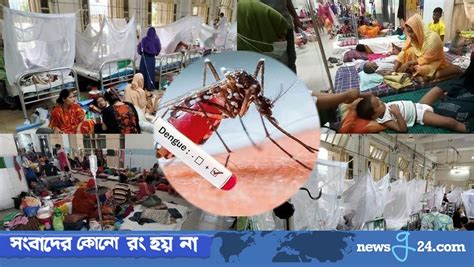 ডেঙ্গুতে প্রাণ গেল আরও ৮ জনের
