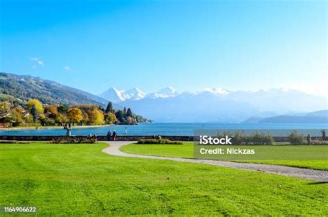 툰 호수 의 놀라운 엽서 보기 툰 베른 주 스위스 강에 대한 스톡 사진 및 기타 이미지 Istock