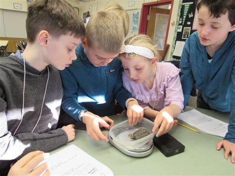 Kestrel Educational Adventures
