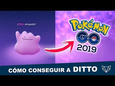 Pokémon GO cómo capturar a Ditto en 2019 Trucos