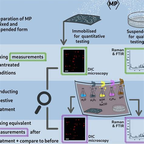 Schematic Visualisation Of The Method Validation Concept In A Download Scientific Diagram