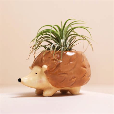 Tiny Hedgehog Planter Home Accessories Lisa Angel