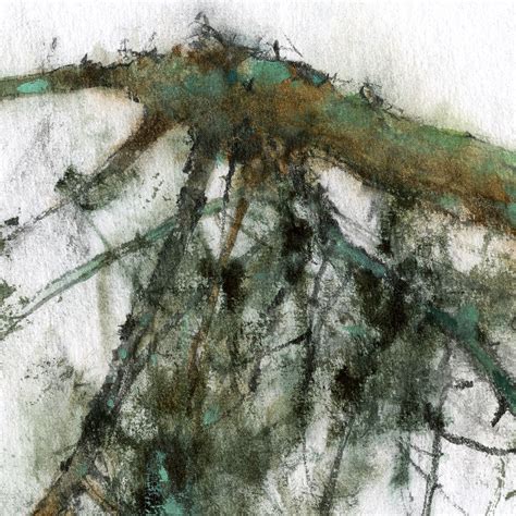 20240121 Dacrydium Elatum Penang Botanic Gardens Chng Kiah Kiean 20240121 Dacrydium Elatum Penang Botanic Gardens Chng Kiah Kiean