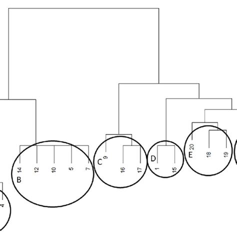 Dendrogram Resuming Results Of A Hierarchical Clustering Analysis