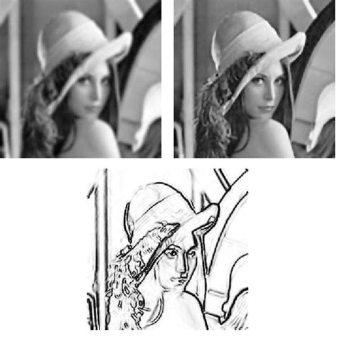 Segmentation And Blind Restoration Top Left Blurred Image