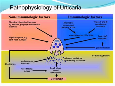 Clinical Approach To Urticaria And Angiodema Ppt Skin And Dermatology Diseases And Conditions