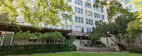Brain And Mind Centre A Year In Review 2023 The University Of Sydney