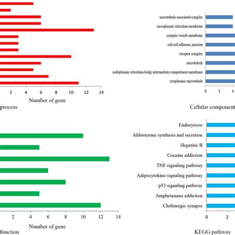 Migration And Invasion Of Esophageal Squamous Cell Carcinoma Cells In