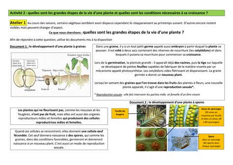 quelles sont les grandes étapes de la vie d une plante