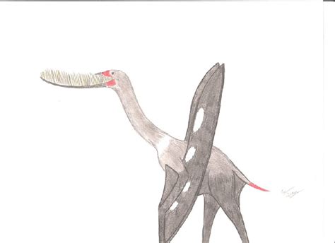 Pterodaustro Pictures And Facts The Dinosaur Database